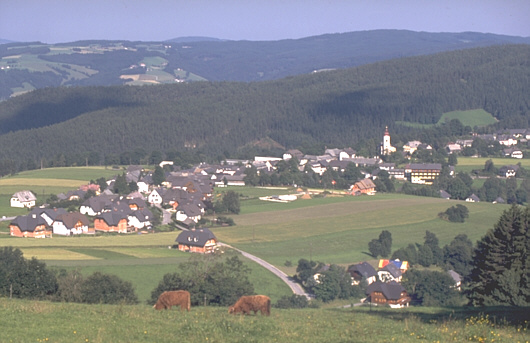 ORTSBILD FISCHBACH - Umweltinformation Steiermark - Land Steiermark
